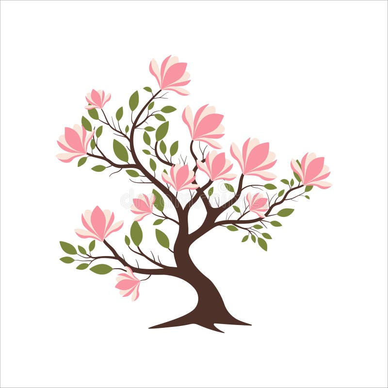 Magnolia Tree Vector with Pink Flowers, Floral Illustration Stock ...