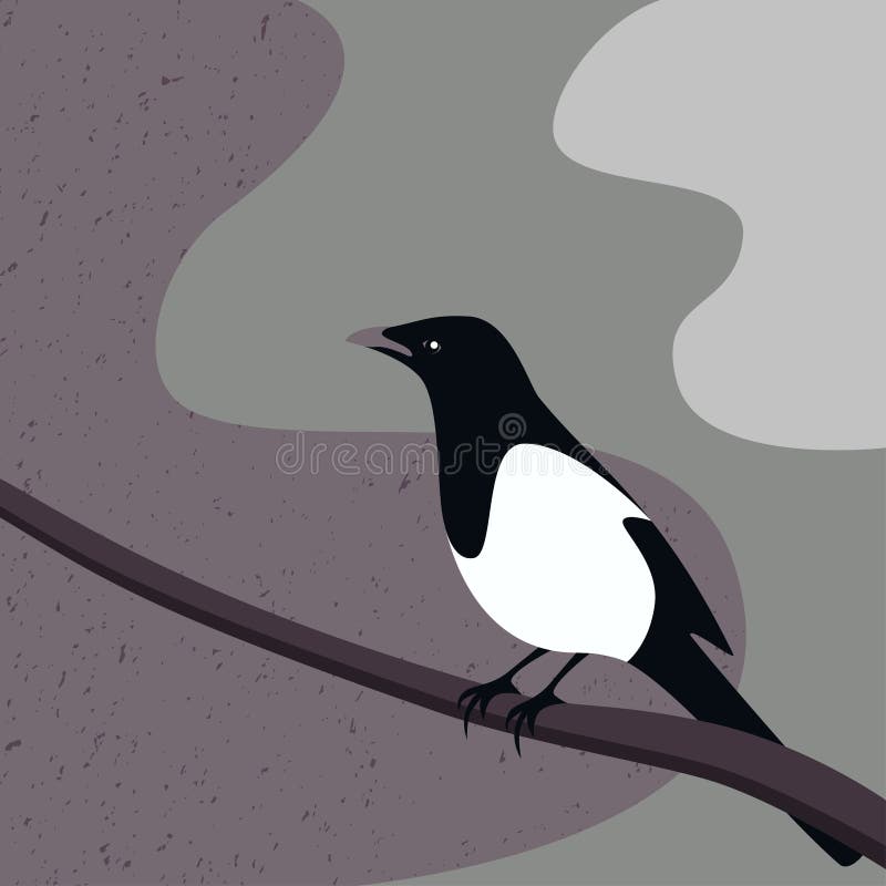 Magpie Bird Abstract Vector Stock Vector - Illustration of black ...