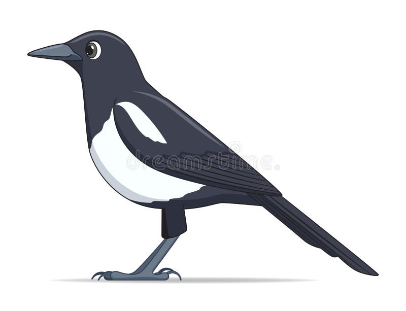 Cartoon Magpie Stock Illustrations – 1,728 Cartoon Magpie Stock ...