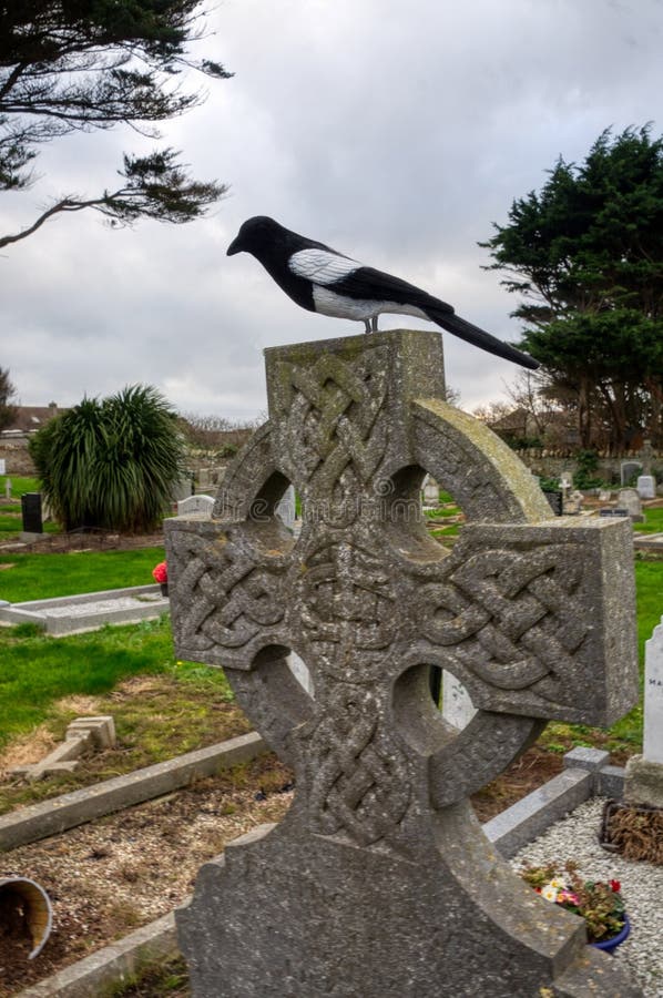 Magpie Celtic Language Stock Photos - Free & Royalty-Free Stock Photos ...