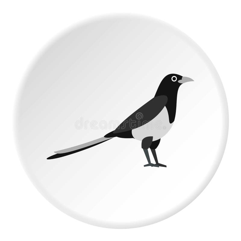 Curious Magpie Icon, Flat Style Stock Vector - Illustration of bird ...