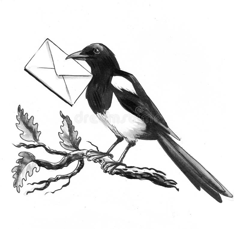 Magpie Drawing