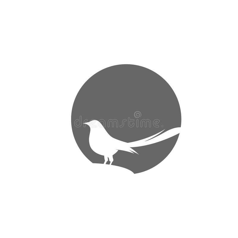 Magpie Logo Icon Illustration Design Stock Illustration - Illustration ...