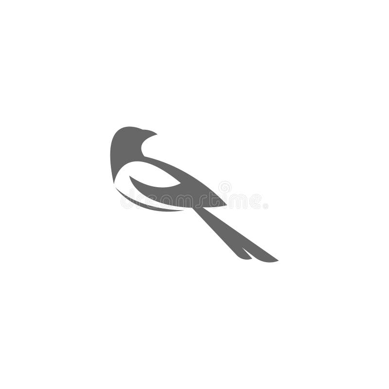 Magpie Logo Icon Illustration Design Stock Illustration - Illustration ...