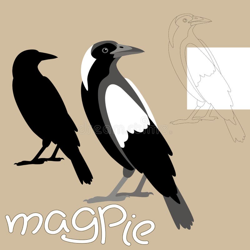 Magpie Line Drawing Stock Illustrations – 78 Magpie Line Drawing Stock ...