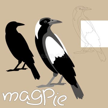Magpie Line Drawing Stock Illustrations – 325 Magpie Line Drawing Stock ...