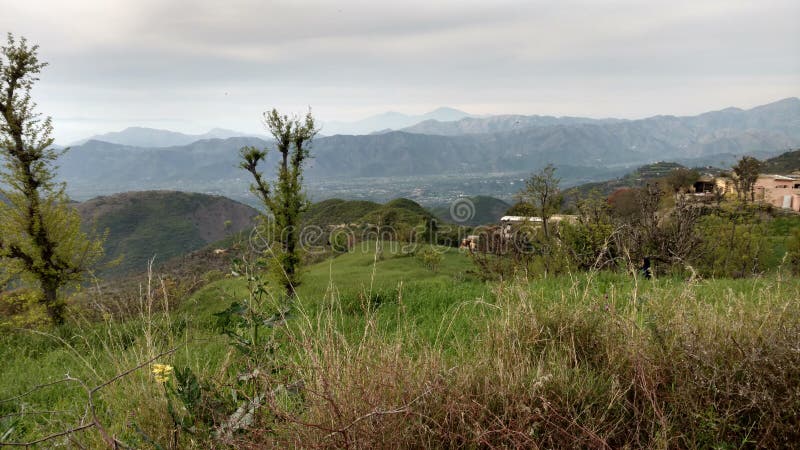 Magree top view stock image. Image of forest, trail - 180640245