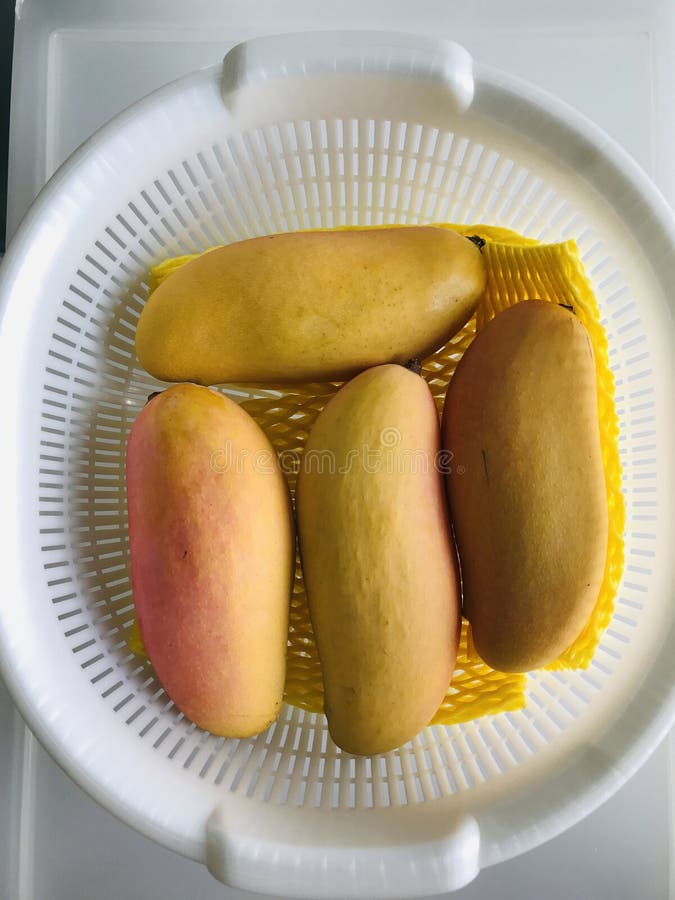 Mahachanok Mango Stock Photos - Free & Royalty-Free Stock Photos from ...