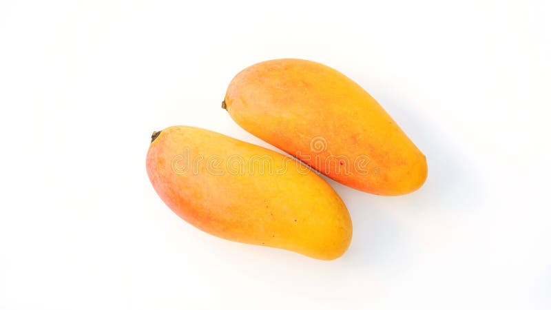 Mahachanok or Rainbow Mango on a White Background Stock Image - Image ...