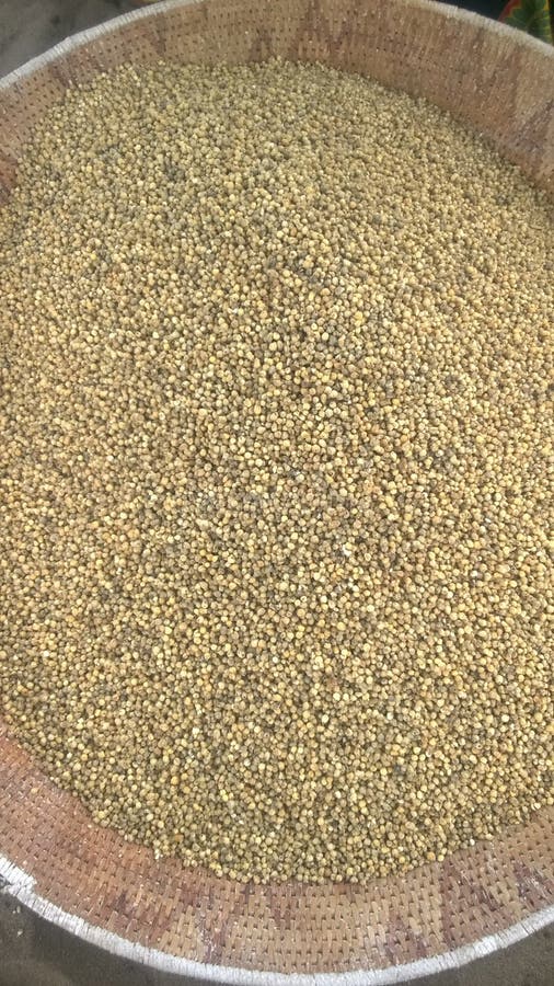 Mahangu making Floor stock image. Image of floor, makfloor - 211088727