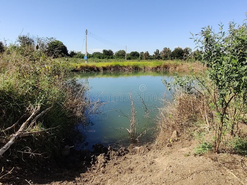 Maharashtra farm lake stock image. Image of lake, reservoir - 210912777