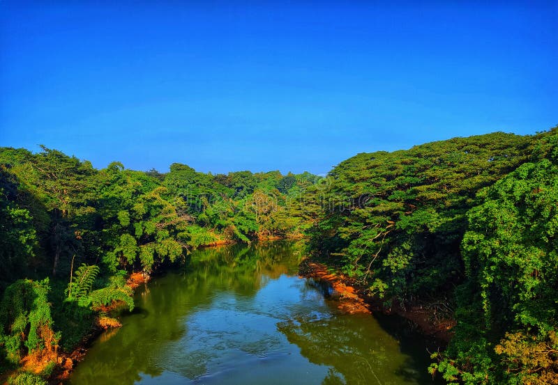 From Mahaweli River Akbar Bridge Stock Image - Image of method, yala ...