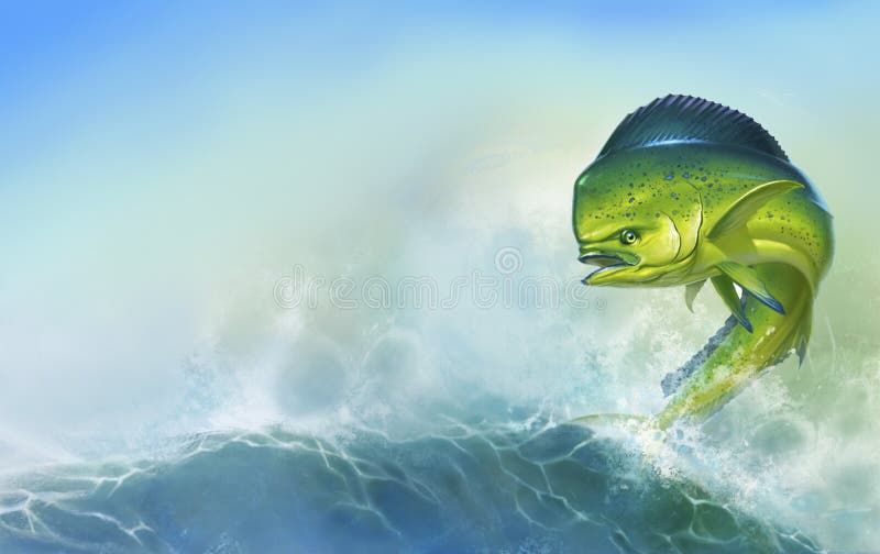 Dorado Fish Wallpaper