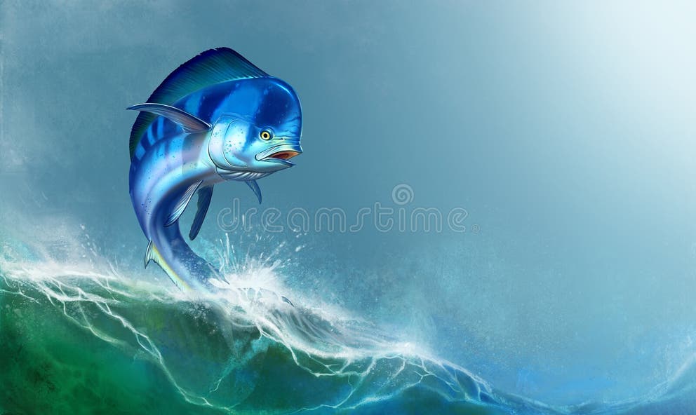 Mahi Mahi or Dolphin Fish on White. Mahi Mahi Blue Fish Stock ...