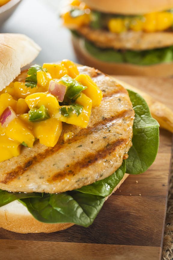 Mahi Fish Sandwich with Salsa Stock Photo - Image of fast, food: 39849798
