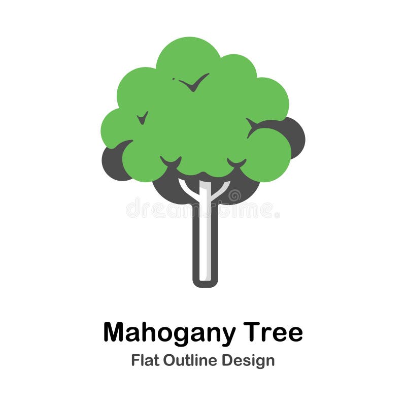 Mahogany Tree Outline Flat Illustration Stock Vector - Illustration of ...