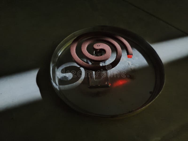 Mahoni tree mahogany fruit stock image. Image of wheel - 336865757