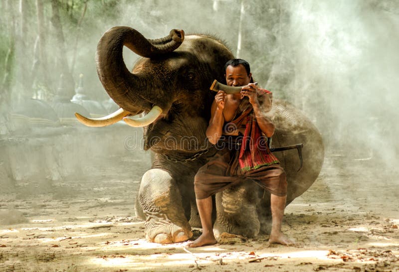 Mahout Sitting On The Back Of An Elephant Doing Shower Elephant Stock ...