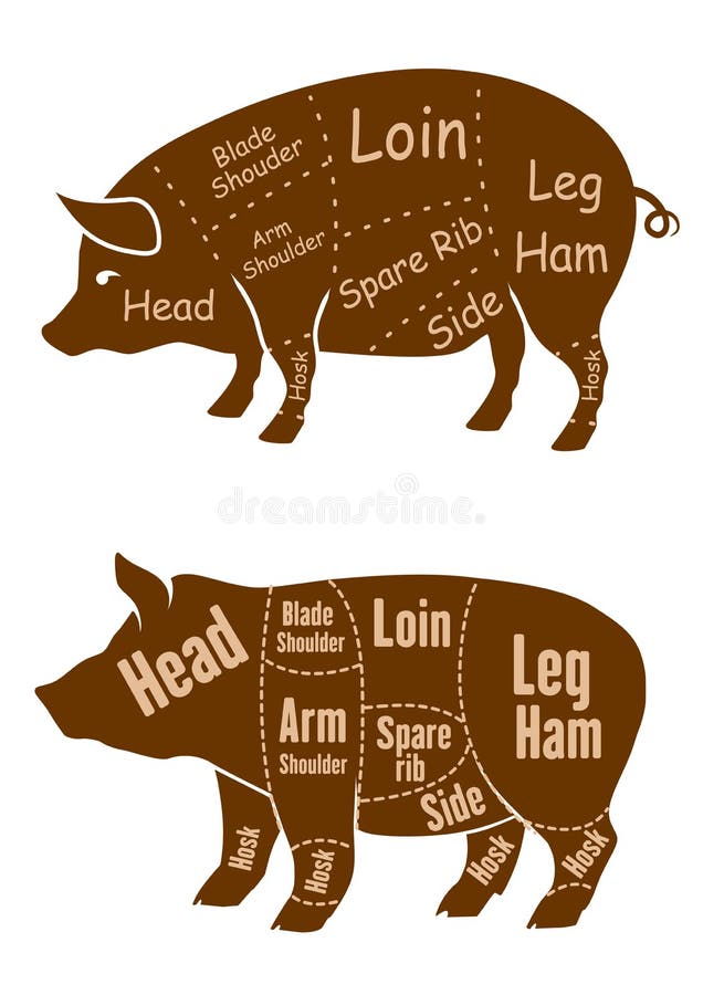 Tagli Del Maiale Taglio Dei Maiali Dell'insieme Della Carne Schema Di ...