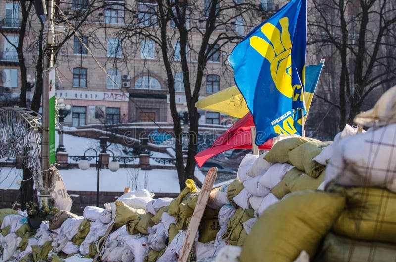 Maidan Protests on 31 January 2014 in Kiev, Ukraine Editorial Photo ...