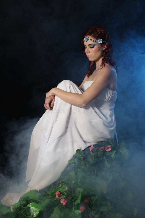 Wedding. Bride and Groom with White Horse Stock Photo - Image of dress ...