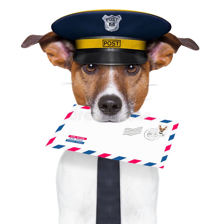 2,319 Mail Dog Stock Photos - Free & Royalty-Free Stock Photos from ...