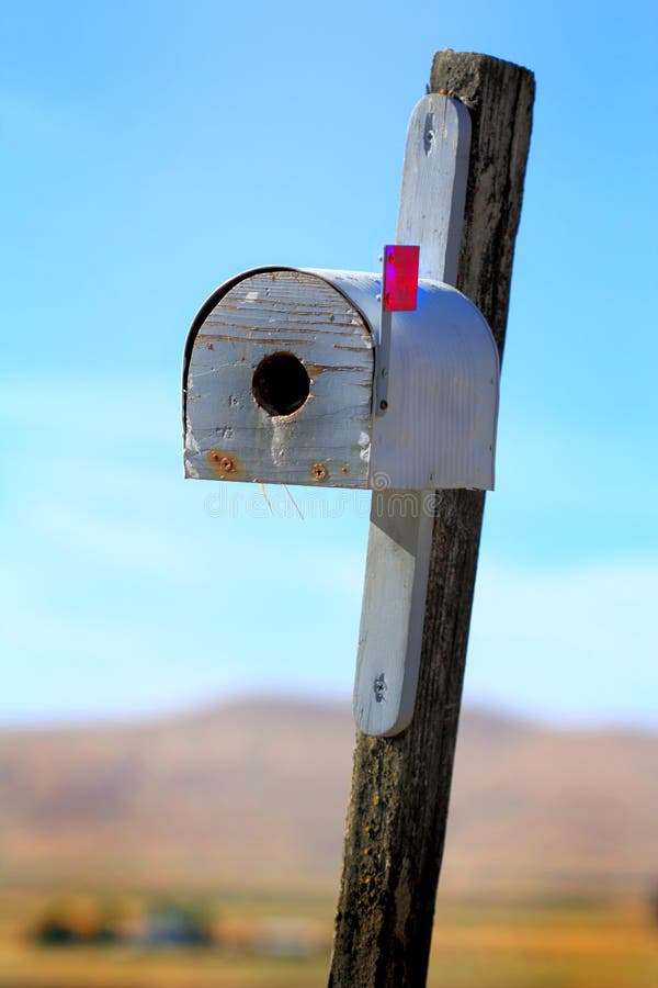 Mailbox Birdhouse stock photo. Image of environment, caring - 60776120