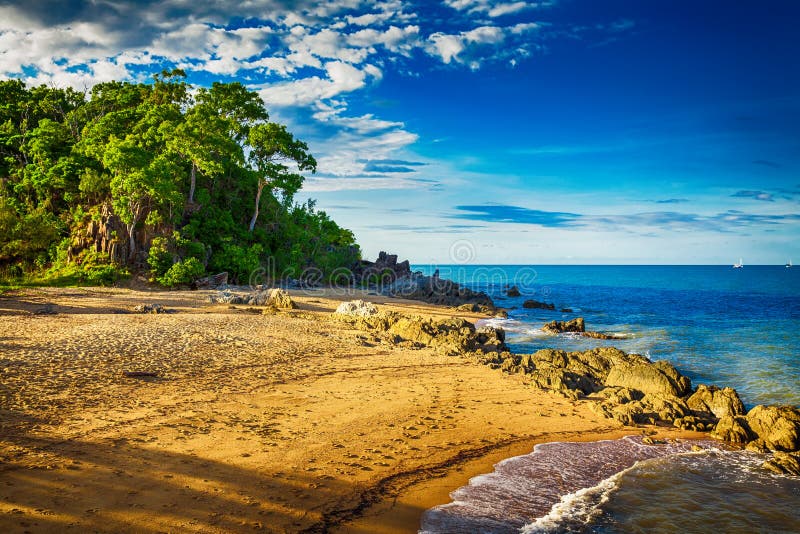Main Beach in Palm Cove with Rocks and Trees during Sunset Stock Image ...