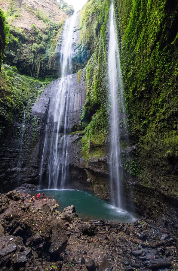 Main Cascade of Madakaripura Waterfall Stock Photo - Image of nature ...