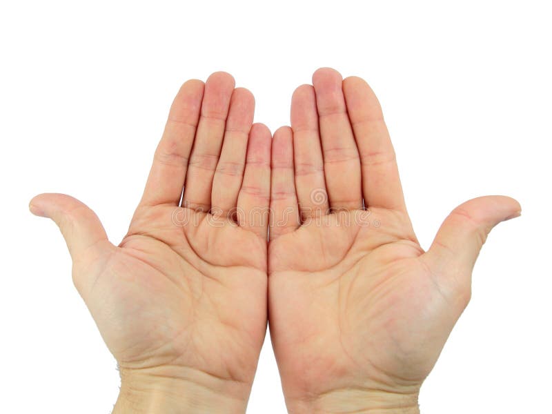 Main D'isolement Sur Le Fond Blanc Photo stock - Image du exposition ...