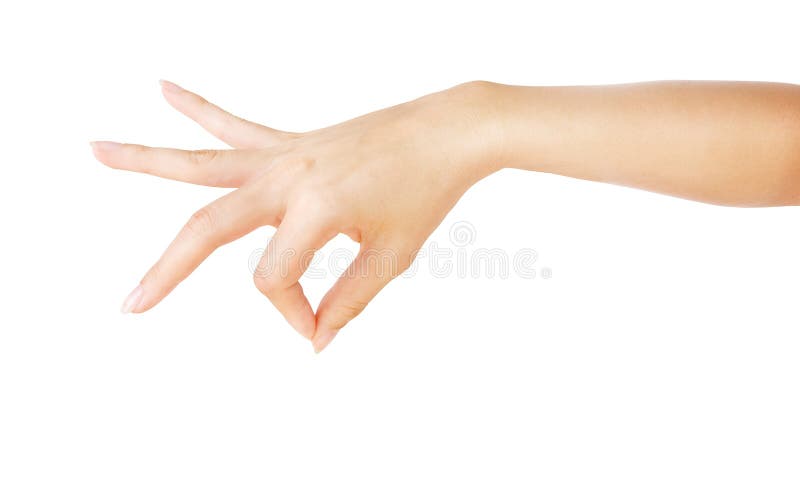 Main De Femme Tenant Quelque Chose Photo stock - Image du ... Main De Femme Tenant Quelque Chose Photo stock - Image du ...