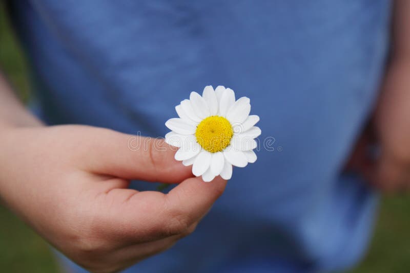Symbole De L'amitié Et De L'amour Photo stock - Image du mère, main ...