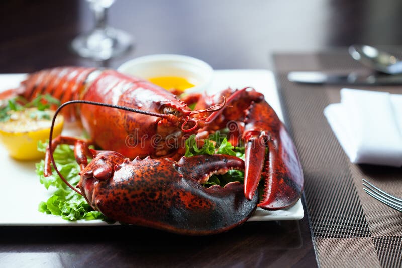 Main dish stock image. Image of appetizer, delicious - 87372989