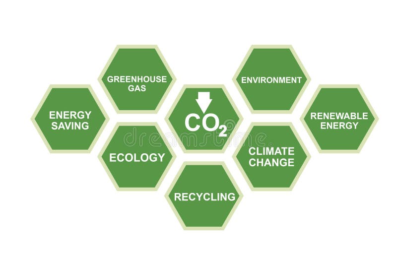 The Main Ecology Concepts Arranged in Matrix Stock Illustration ...