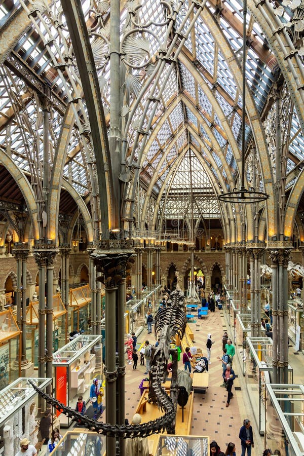 Main Hall of Oxford Museum of Natural History, UK Editorial Stock Photo ...