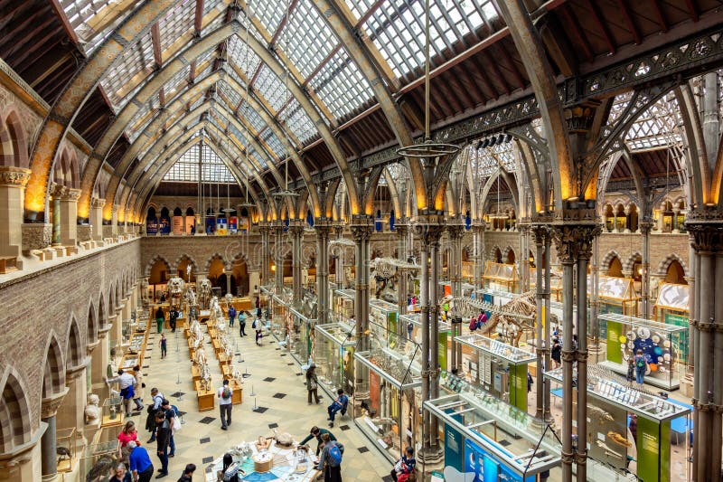 Main Hall of Oxford Museum of Natural History, UK Editorial Image ...