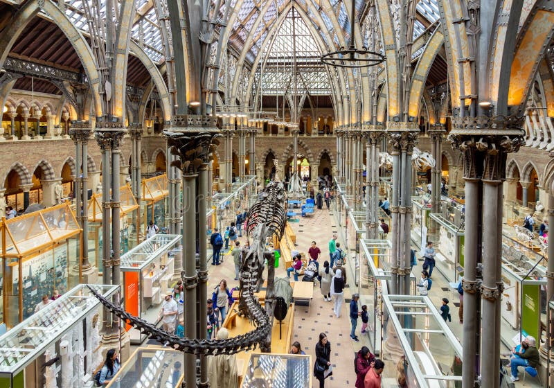 Main Hall of Oxford Museum of Natural History, UK Editorial Photography ...