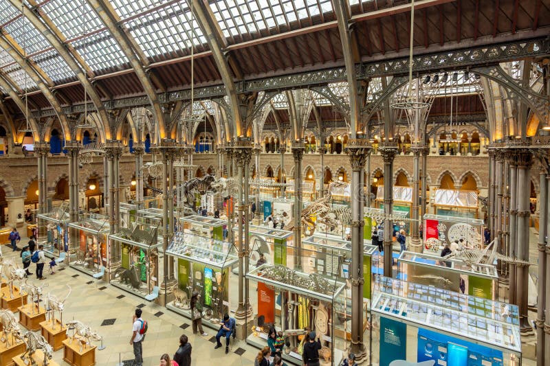 Main Hall of Oxford Museum of Natural History, UK Editorial Stock Image ...