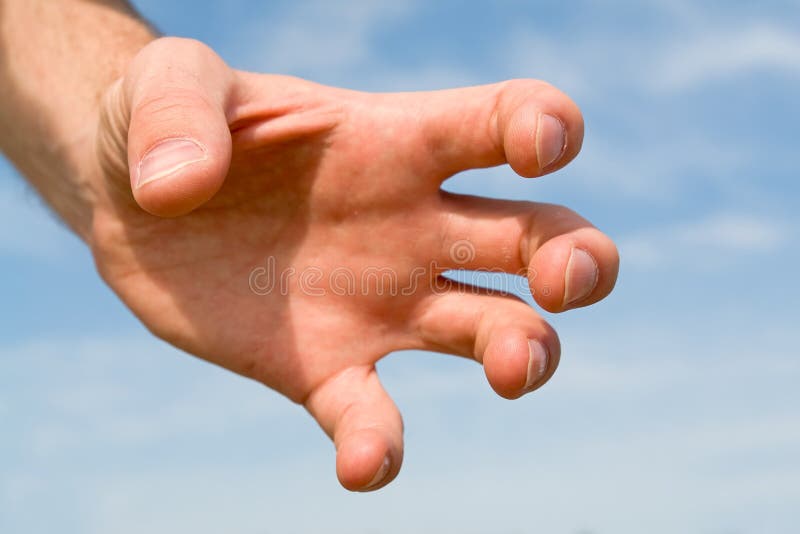 Main humaine image stock. Image du paume, main, humain - 3143895