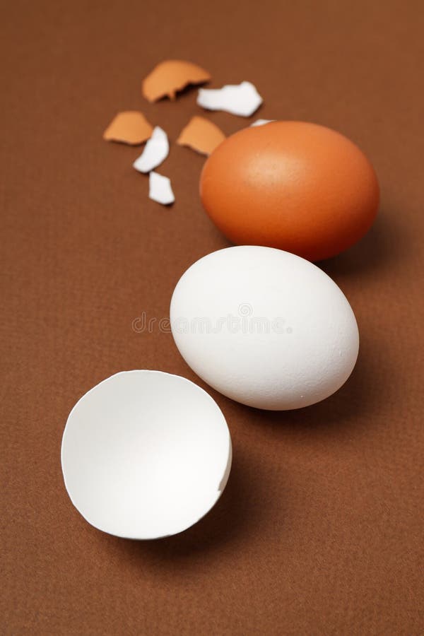 Main Ingredient for Cooking Different Dishes- Eggs Stock Photo - Image ...