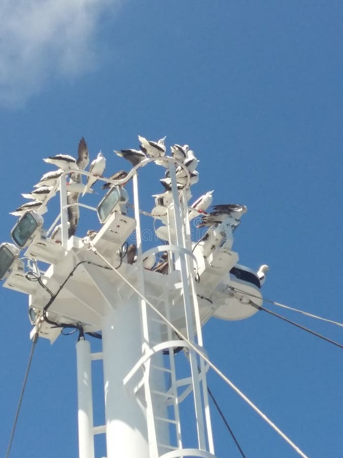 Main Mast of Passenger Ship with Navigation Equipment Stock Image ...