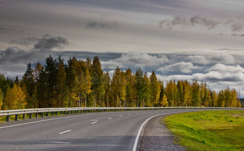 Main road stock photo. Image of markup, forest, sunny - 61453642
