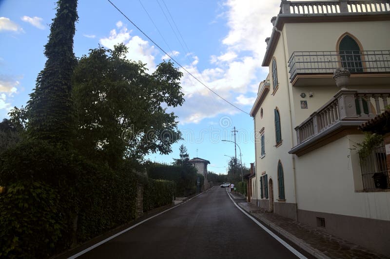 Main Road Bordered by Olive Tree Plantations Stock Image - Image of ...