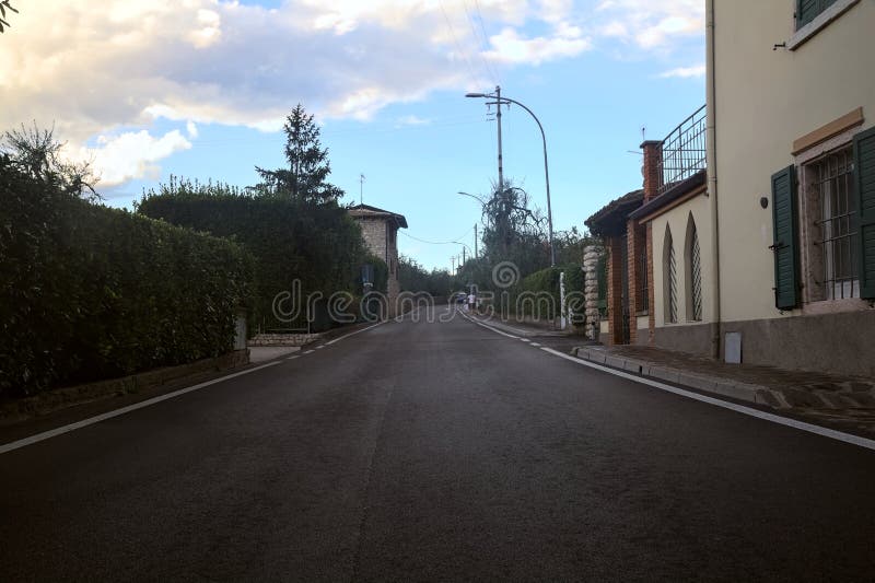 Main Road Bordered by Olive Tree Plantations Stock Image - Image of ...