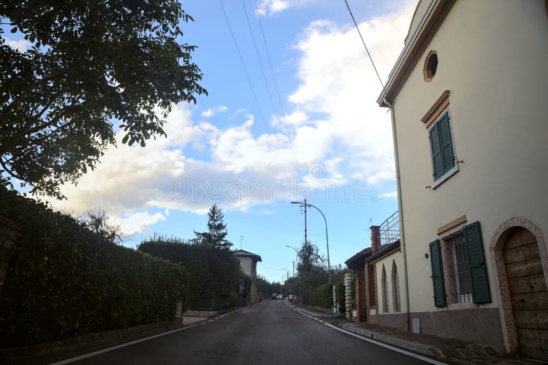Main Road Bordered by Olive Tree Plantations Stock Image - Image of ...