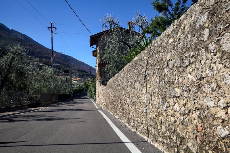Main Road Bordered by Olive Tree Plantations Stock Photo - Image of ...