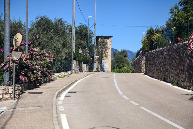Main Road Bordered by Olive Tree Plantations Stock Image - Image of ...