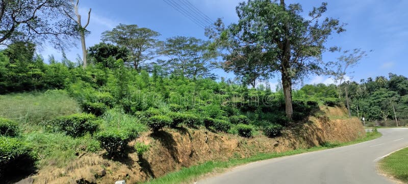Main road in deniyaya stock image. Image of main, trail - 227011225