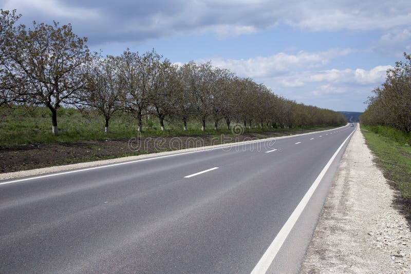 Main road. stock photo. Image of road, green, outgoing - 70875602