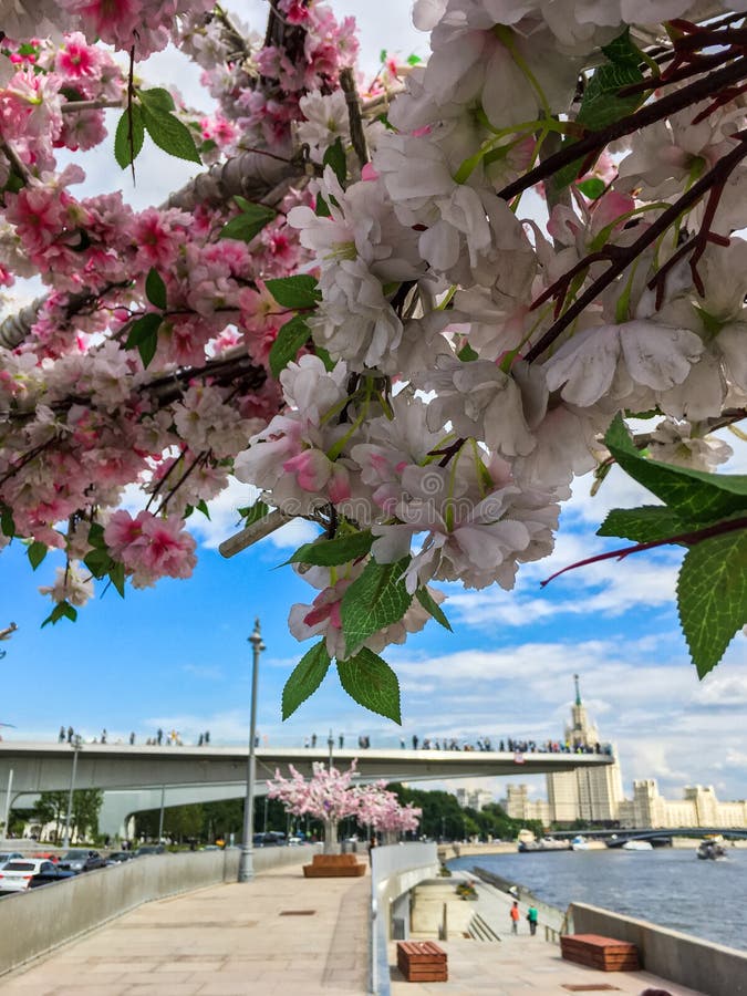 The Main Sights of Moscow in Good Spring Weather Stock Image - Image of ...